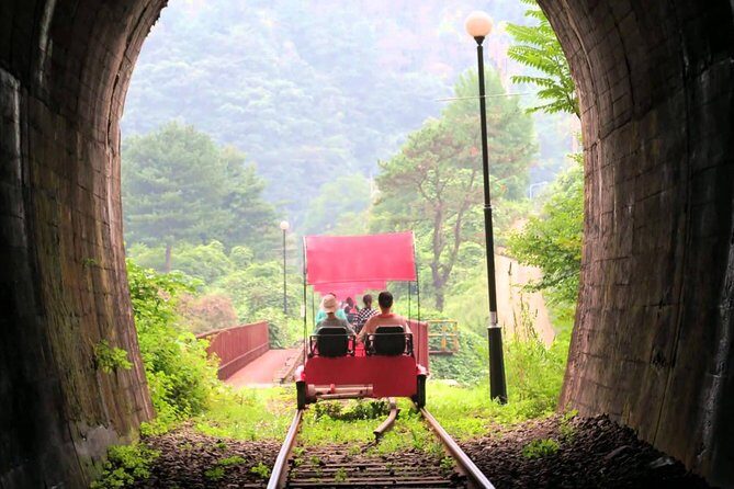 Nami Island & Garden of Morning Calm & Gangchon Railbike Tour - A Full Day of Scenic Beauty and Light Adventure