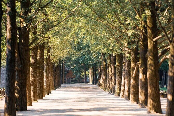 Nami Island, Morning Calm, Rail bike & Autumn Light Festival - Exploring the Itinerary: What to Expect