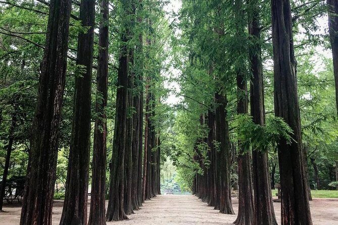 Nami Island & Nearby Attractions : Charter Van Tour With Driver - Analyzing the Value