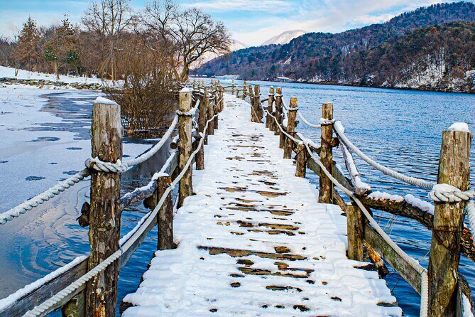 Nami Island One Day Trip with Gangchon Rail Bike from Seoul - A Detailed Look at the Experience