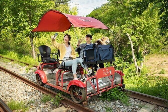 Nami Island & Petite France & Italian Village & Gangchon Rail Bike One-Day Tour - What Travelers Say