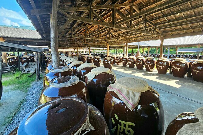 Nami Island & Petite France & Railbike & Morning Calm - Practical Insights on the Tour