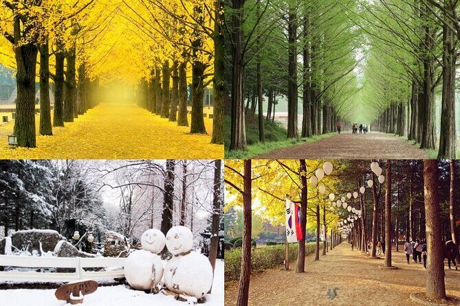Nami Island & Petite France with Italian Village One-Day Tour - Who Will Love This Tour?