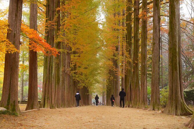 Nami Island Private Photo Tour with options - Who Should Consider This Tour?