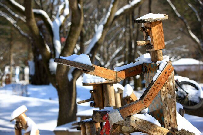 Nami Island Private Photo Tour with options - Final Thoughts
