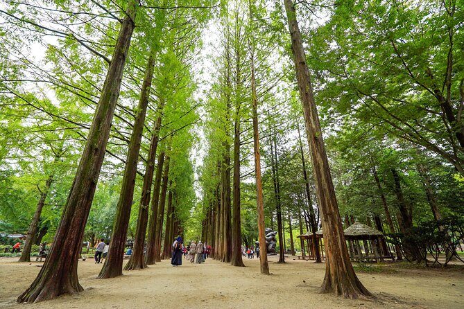 Nami Island Private Photo Tour with options - FAQ: Your Practical Questions Answered