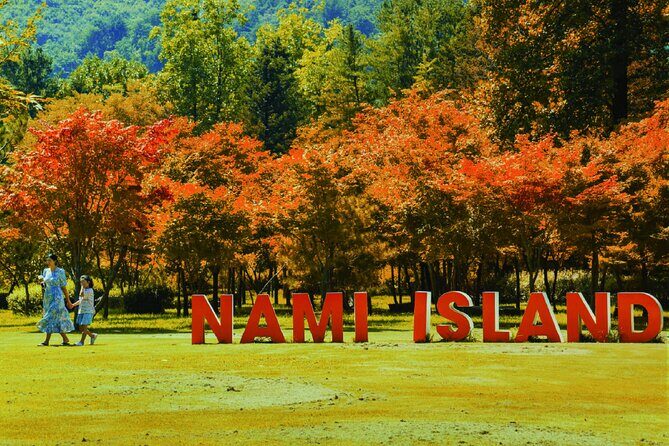 Nami Island, Rail bike & The Alpaca Garden - The Value of This Tour