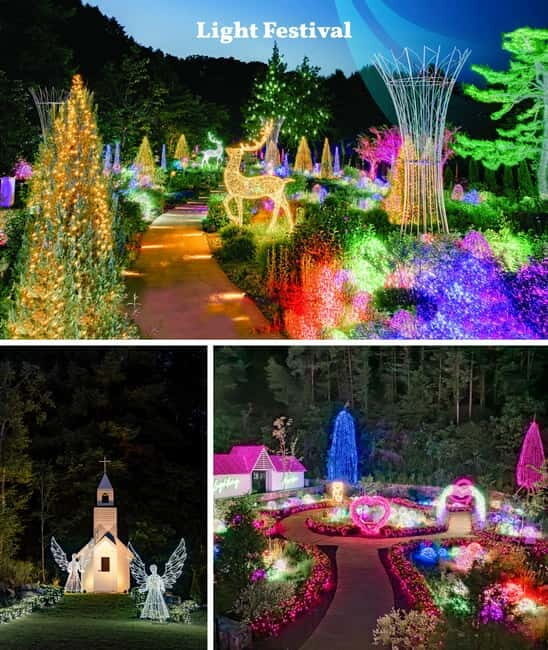 Nami Island, Railbike & Alpaca Garden Day Trip from Seoul - Final Thoughts