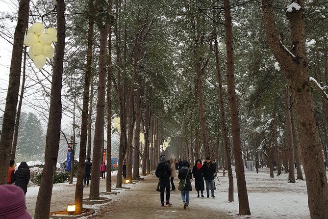 Nami Island + Ski Tour - Final Thoughts