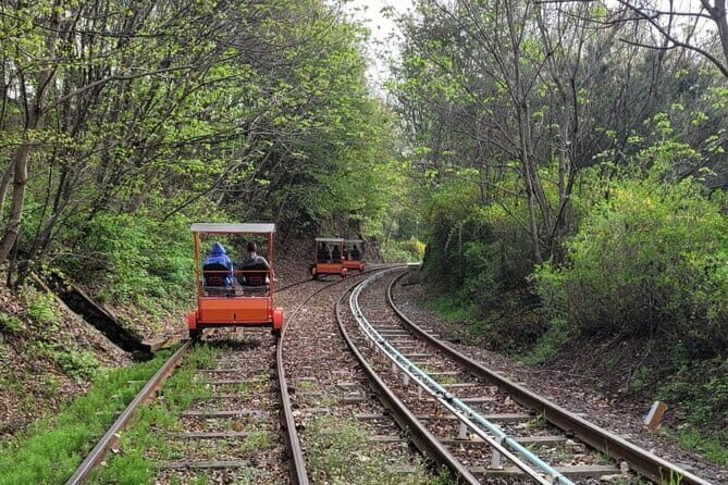 Nami Island with The Garden of Morning Calm Rail Bike from Seoul - The Sum Up