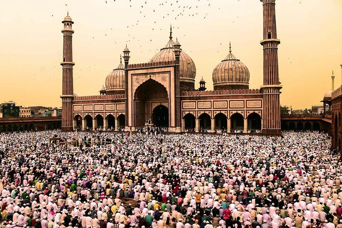Namste Delhi Private Tour - The Value of a Private Tour in Delhi