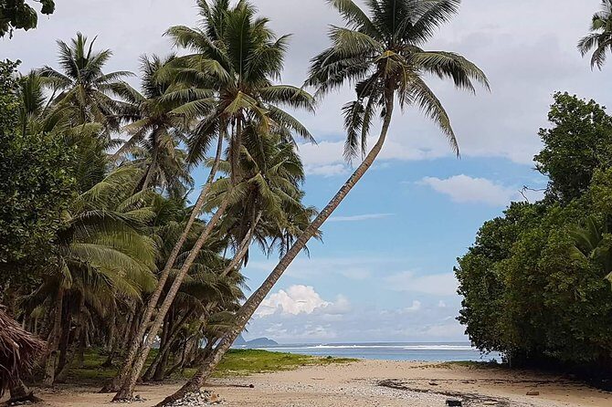 Namua Turtle Island and Eastern Upolu Tour - Who’s This Tour Best For?