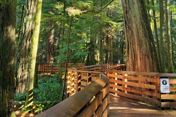 Nanaimo: Cathedral Grove, Waterfalls and Animal Sanctuary - The Sum Up: A Well-Balanced Natural Day