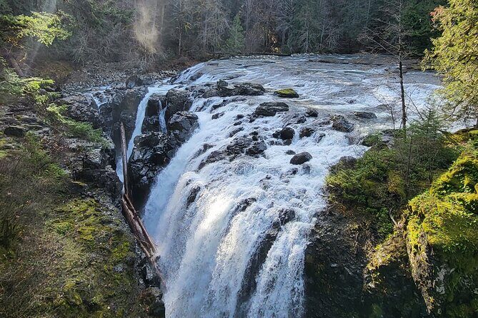 Nanaimo: Cathedral Grove, Waterfalls and Animal Sanctuary - FAQs