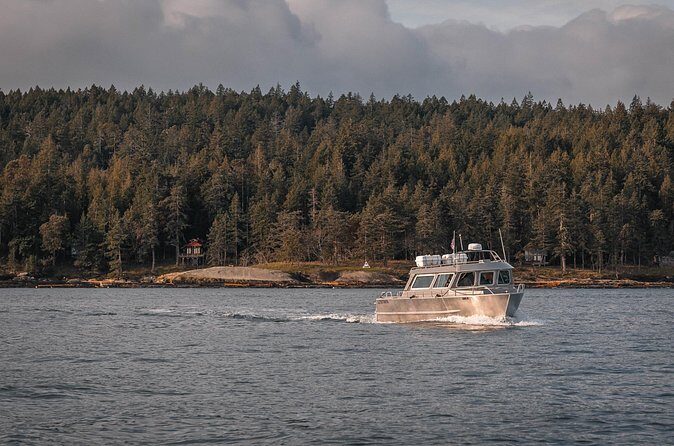 Nanaimo Private Whale Watching - The Sum Up
