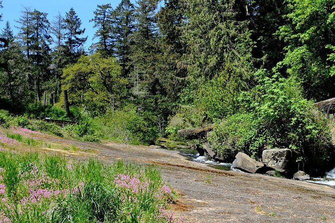 Nanaimo Urban Oasis Trail Walking Tour - A Complete Look at the Nanaimo Urban Oasis Trail Walking Tour