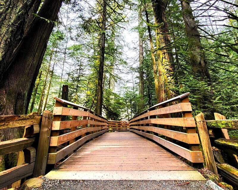 Nanaimo: Vancouver Island Waterfalls, Vistas, Hikes & Caves - An In-Depth Look at the Tour Itinerary