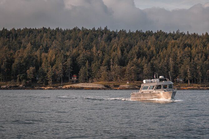 Nanaimo Whale Watching in a Semi-Covered Boat - Frequently Asked Questions (FAQs)