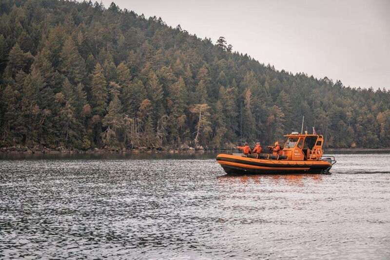 Nanaimo: Whale Watching Open Boat Tour - The Experience of Seeing Whales Up Close