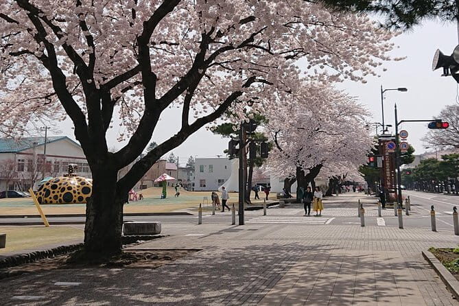 Nanbu Teodori Taught by the World's Top Master - Detailed Breakdown of What You Can Expect