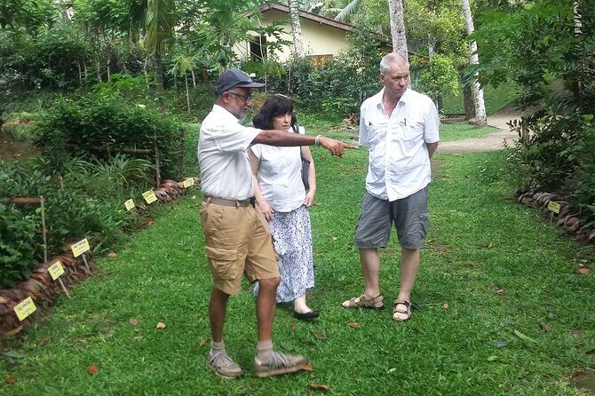 Nandana Tea Walking Tour in Sri Lanka - FAQ