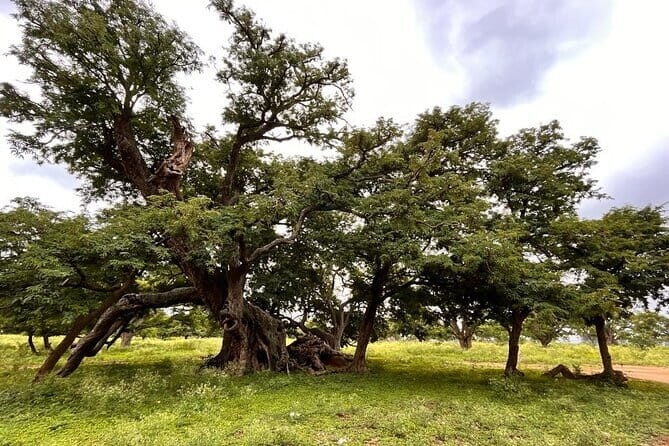 Nandi Trail Tour - Who Should Consider This Tour?