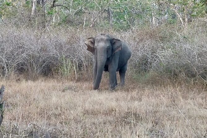 Nandi Trail Tour - FAQs