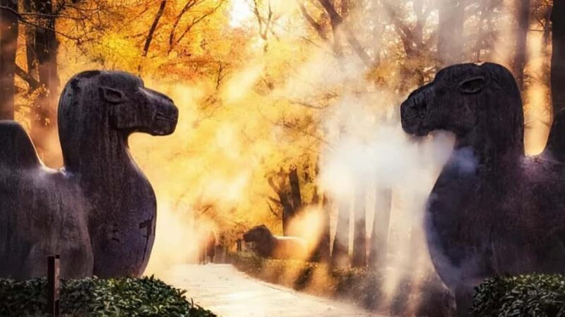 Nanjing Afternoon:Xiaoling Mausoleum+Confucius Temple/Dinner - The Sum Up