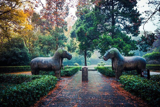 Nanjing Day Tour from Shanghai by Bullet Train - Diving into the Tour Experience