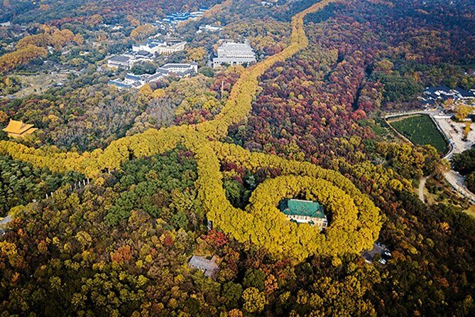 Nanjing Flexible Private Day Tour from Wuxi by Bullet Train - A Detailed Look at the Tour Experience