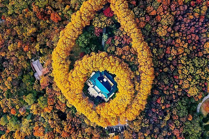 Nanjing One day Private Tour Republic of China Era Theme - A Closer Look at the Tour Experience