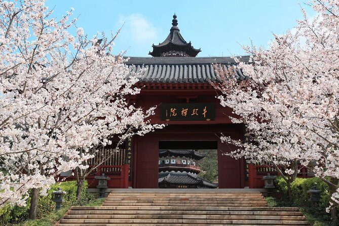 Nanjing private day tour with Xuanwu Lake, Niushoushan & Confucian Temple Area - The Sum Up