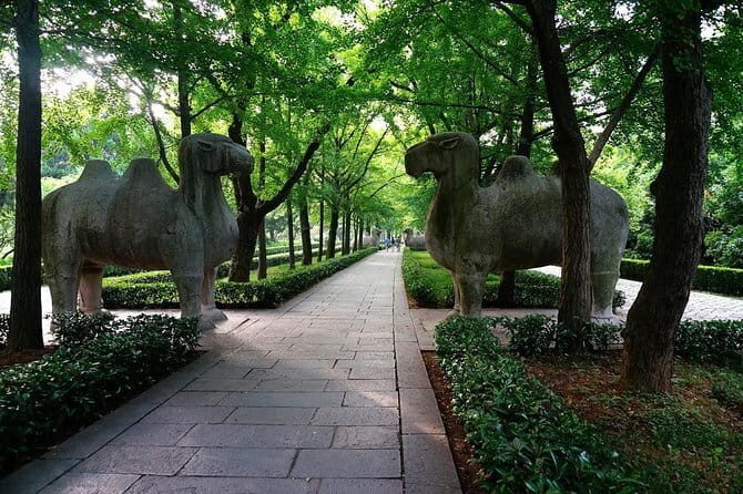 Nanjing Private Day Trip from Suzhou by Bullet Train with Drop off Options - Key Points