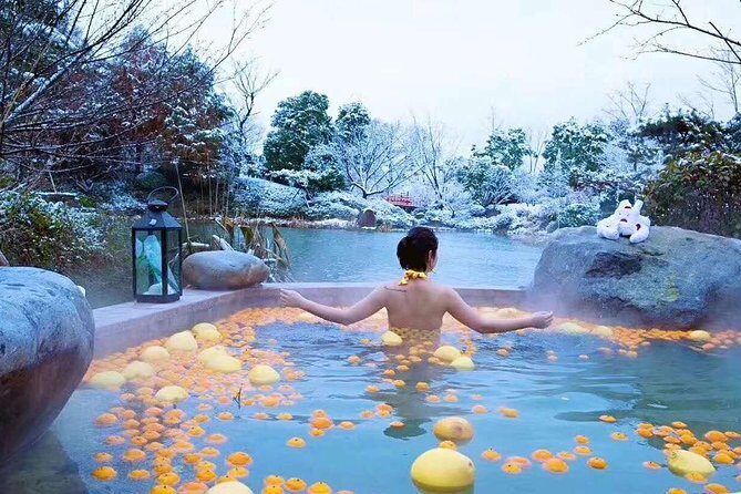 Nanjing Purple Mountain Private Tour with Tangshan Hot Spring Spa Experience - An Overview of the Experience