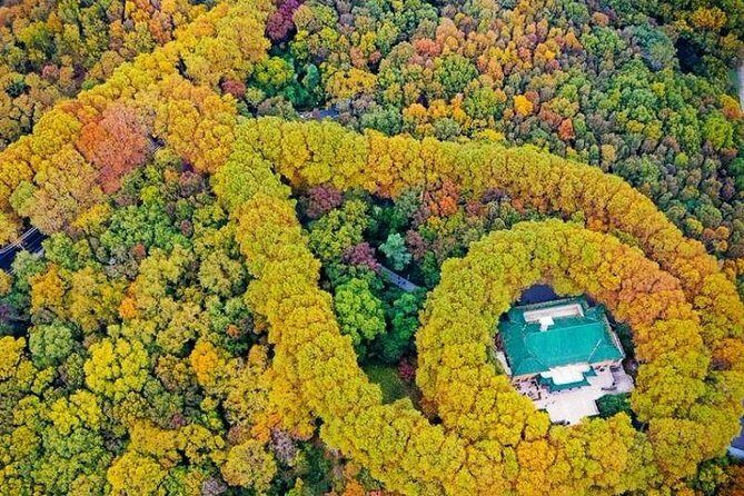 Nanjing Purple Mountain Private Tour with Tangshan Hot Spring Spa Experience - Authentic Traveler Insights