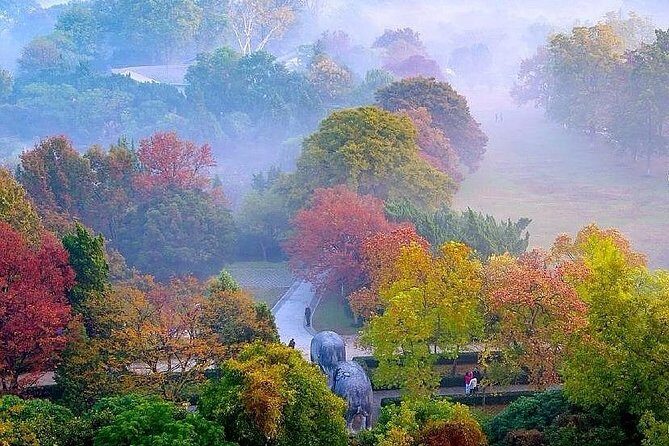 Nanjing Purple Mountain Private Tour with Tangshan Hot Spring Spa Experience - Summary: Who Is This Tour Best For?