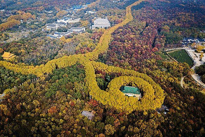 Nanjing Self-Guided Tour from Wuxi by Private Car with Drop-off Option - The Practicalities of This Private Tour