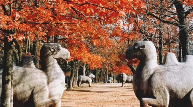 Nanjing:Must-See Attractions in One Day+Customized Itinerary - The Sum Up