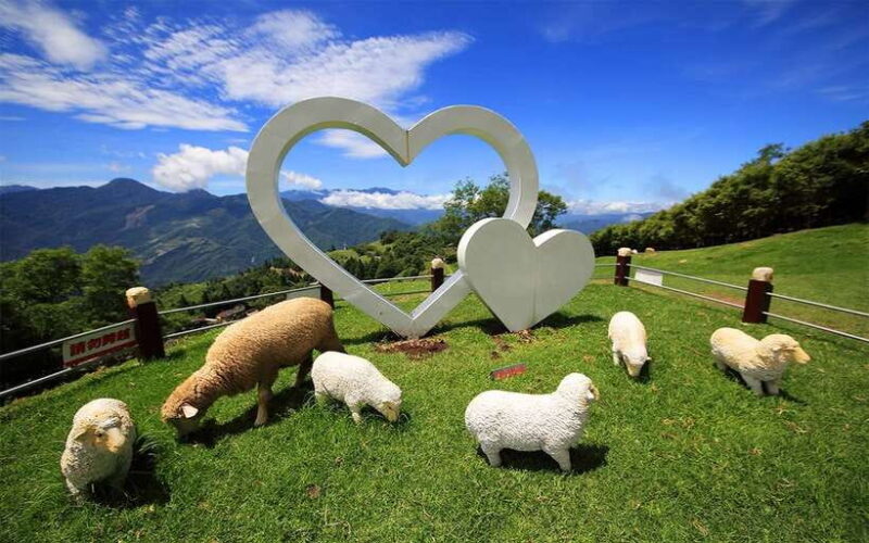 Nantou: Qingjing Farm Green Green Grassland Ticket & Combos - Final Thoughts