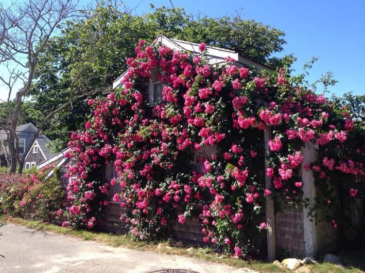 Nantucket: Historical Landmarks Sightseeing Bus Tour - Discovering Nantucket’s Charm and History in a Nutshell