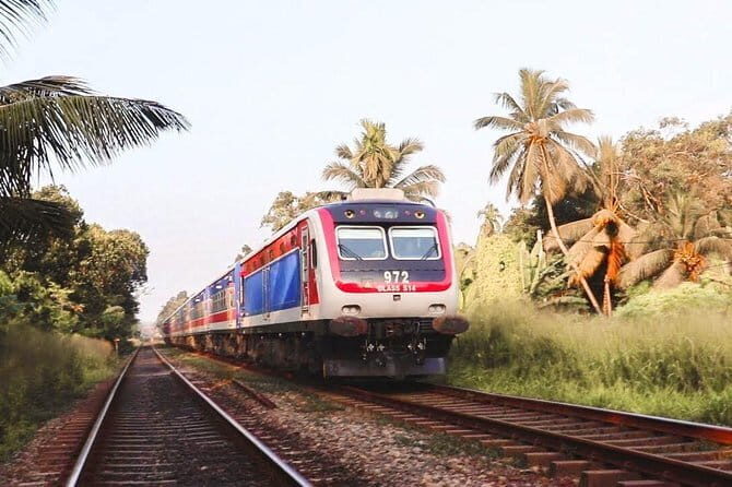 Nanu Oya to Kandy train ride on (Train No: 1006 "Podi Menike") - What’s It Like on the Train?