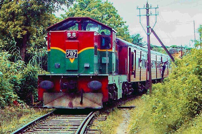 Nanu Oya to Kandy train ride on (Train No: 1016 "Udarata Menike") - A Detailed Look at the Journey