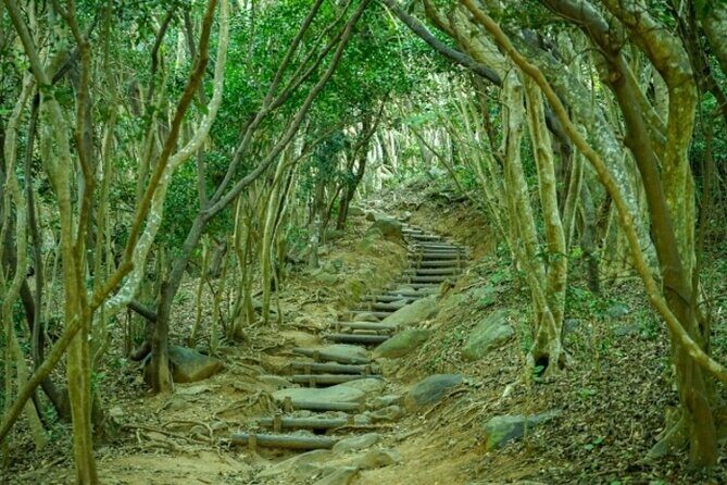 Nanzoin Temple and Itoshima Fukuoka Private Tour - The Sum Up: Is This Tour Worth It?