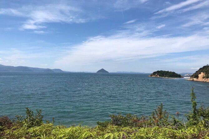 Naoshima Full Day Private Tour from Takamatsu - An in-Depth Look at the Tour Experience