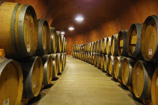 Napa and Sonoma-8-hr Private-Wine Tour from San Francisco XL SUV - Setting the Scene: Why Choose This Tour?