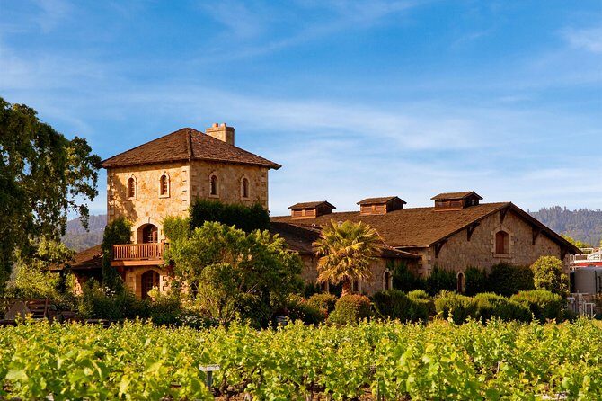 Napa and Sonoma-8-hr Private-Wine Tour from San Francisco XL SUV - The Sum Up