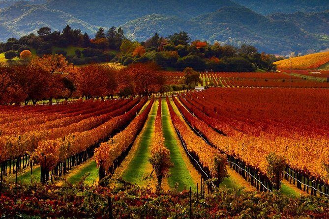 Napa and Sonoma Limo - Wine, food, and the experience in the vehicle