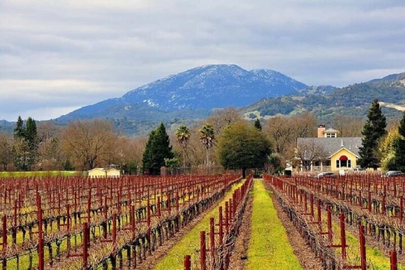 Napa and Sonoma Small Group Wine Tour from San Francisco - Discover the Charm of Napa and Sonoma on a Guided Day Trip from San Francisco