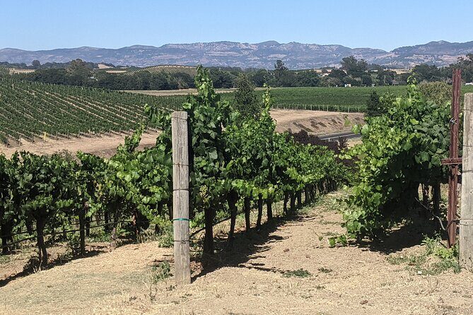 Napa and Sonoma Valley Wine 6 hour Tour from San Francisco - FAQ: Your Questions About the Napa & Sonoma Tour Answered