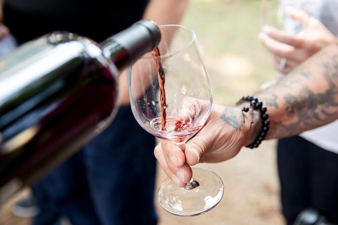 Napa and Sonoma Wine Country Full-Day Tour from San Francisco - What to Expect at Wineries